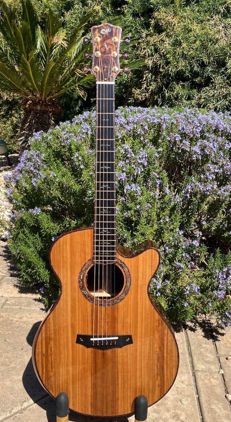 High End Used Acoustic Guitars - Williams (Laurie) Guitars